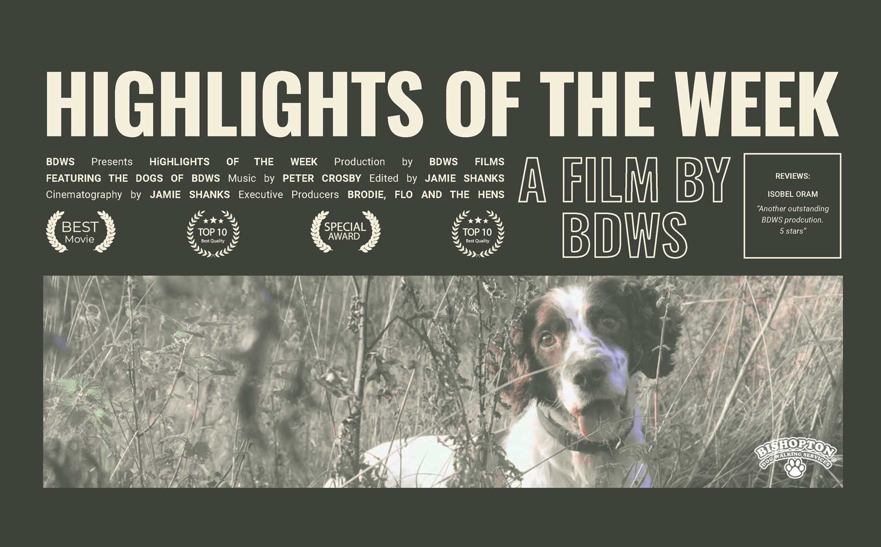 Dog walking video of the week from November 2021