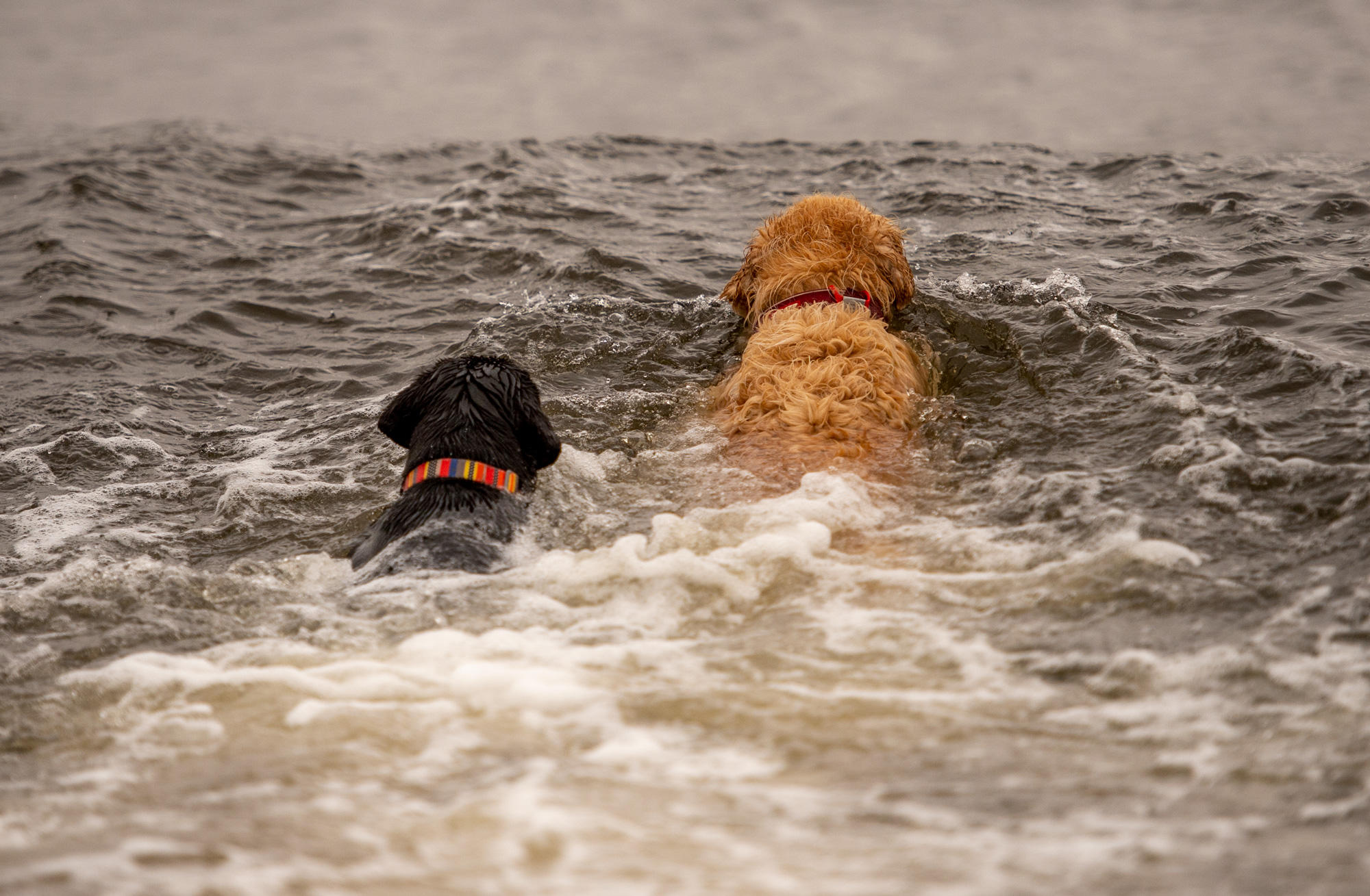 Walking at Boden Boo/Erskine Beach